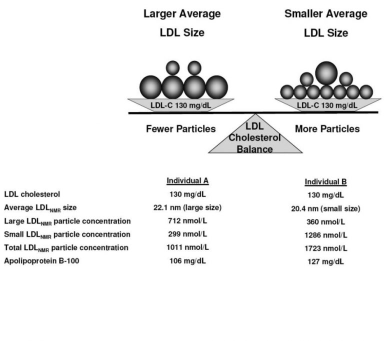 LDL- Bad or Good? - TDW